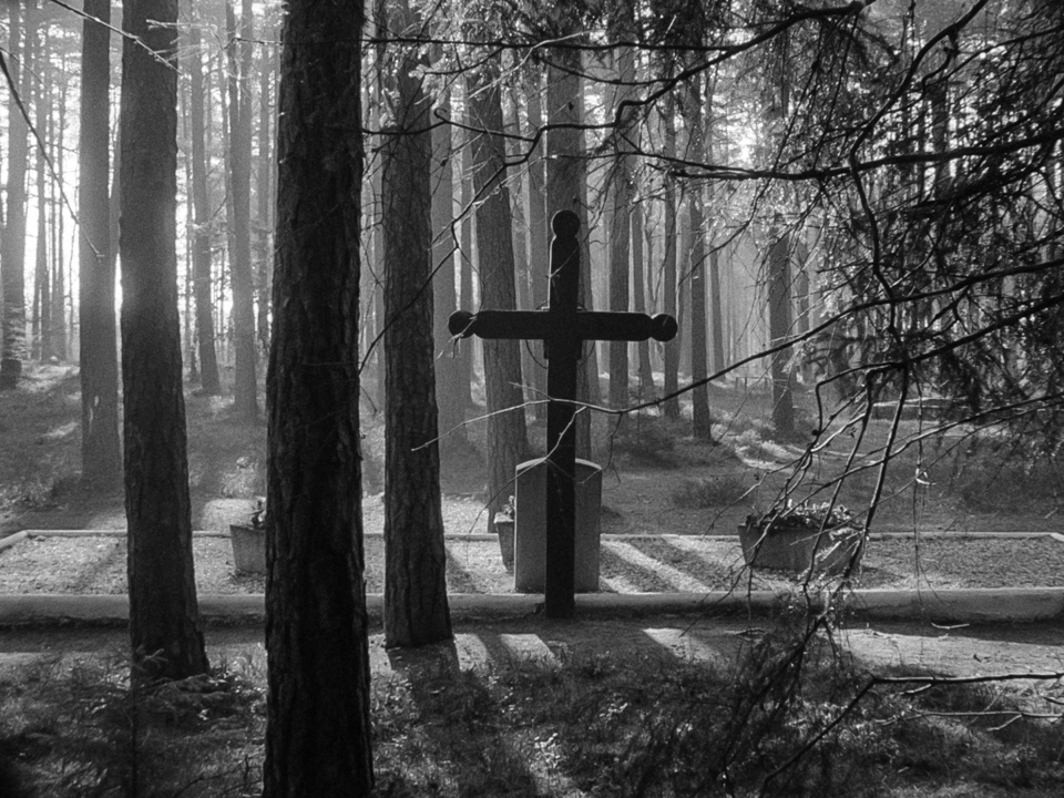 Las Piaśnicki - 35mm.online